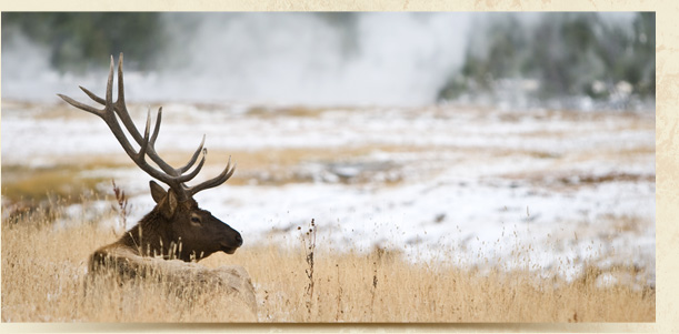 Partners & Affiliations – Wyoming Rangelands