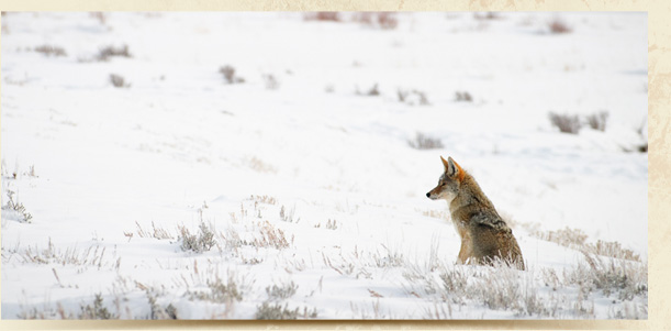 Climate – Wyoming Rangelands